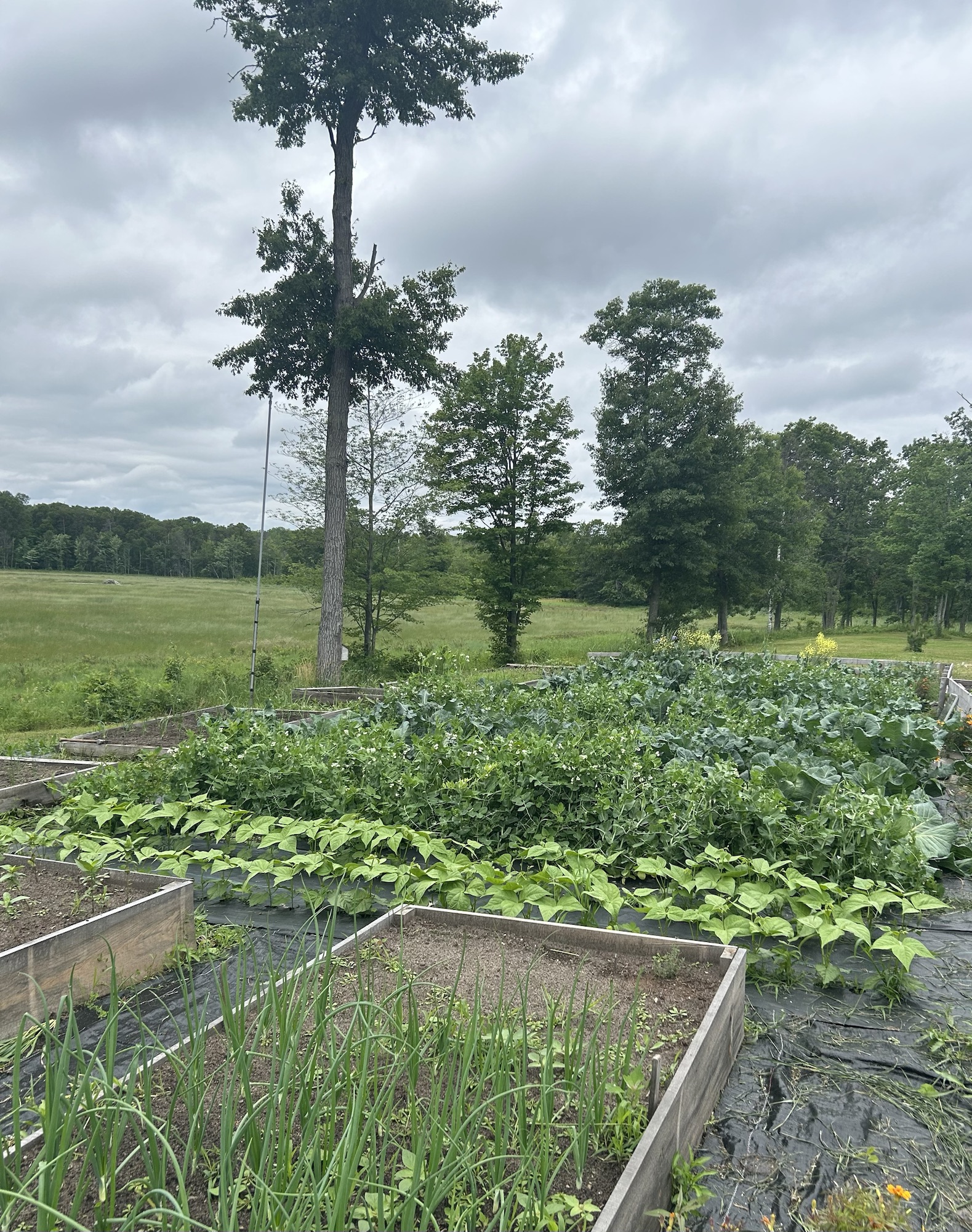 Smith Family Ranch – Know Your Farmer, Know Your Food